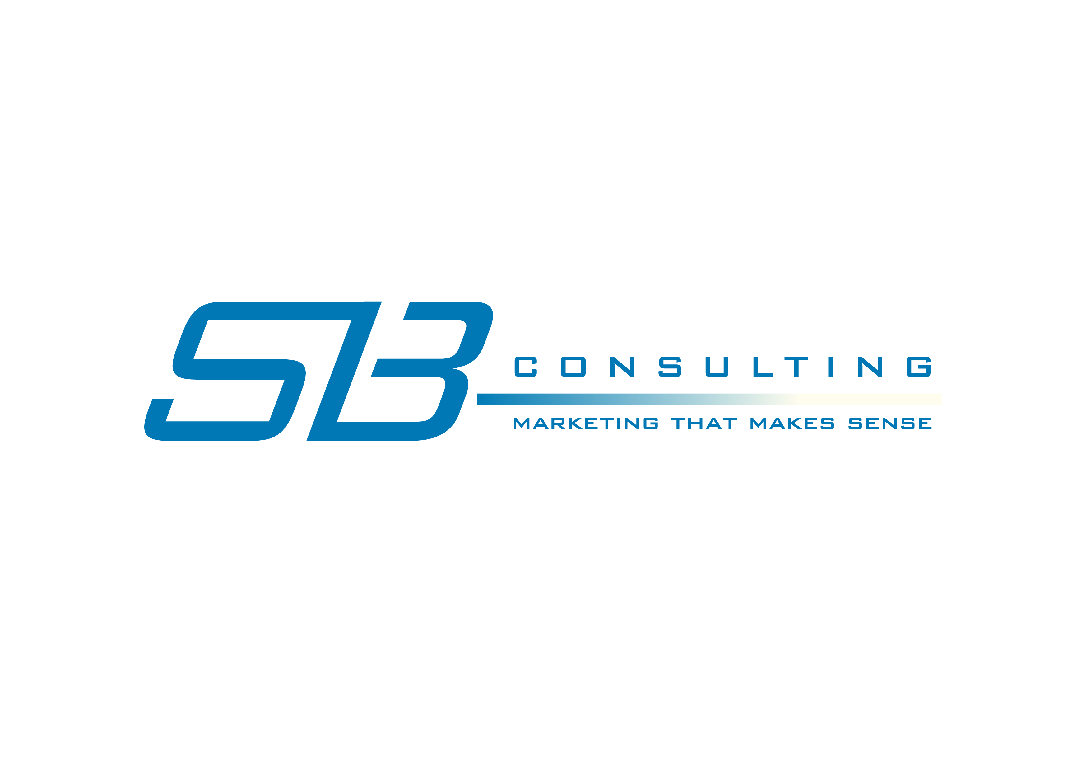SB Consulting: Marketing Consultant for LinkedIn